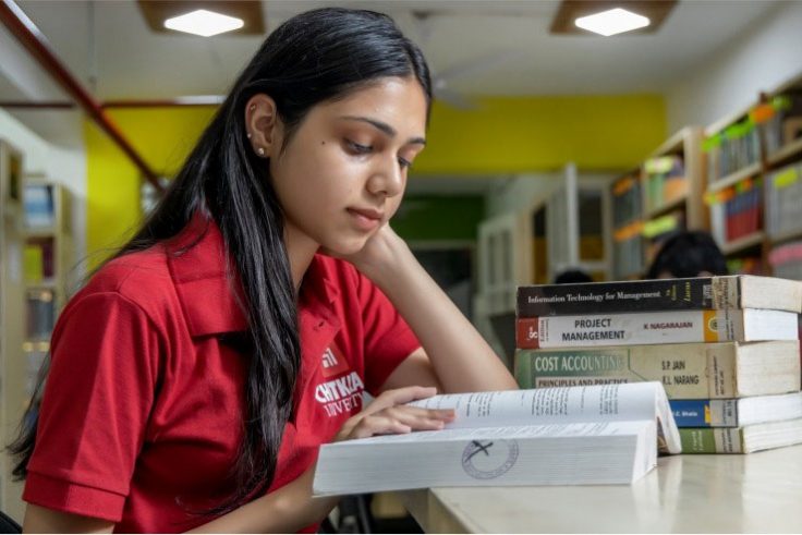 Future Scope of Full Stack Developers in India - Chitkara University | Blogs