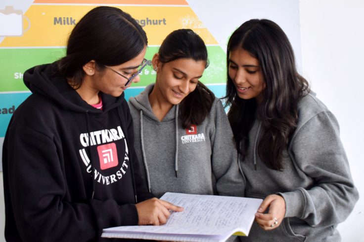 Path To Become A Successful Physiotherapist - Chitkara University