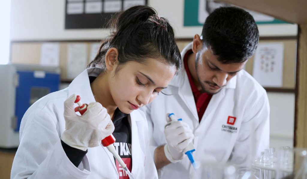 Which Allied Health Course Will Secure Your Future? Exploring Promising ...