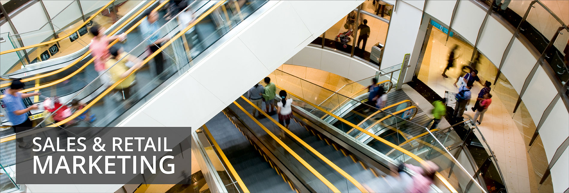 MBA in Sales & Retail Marketing - Chitkara University